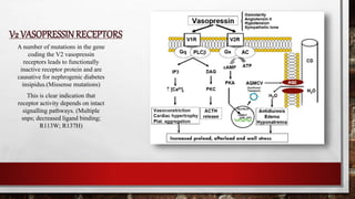 Genetic VaRITION IN GPCR.pptx