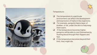 Genetic variation vs environmental variation | PPTX