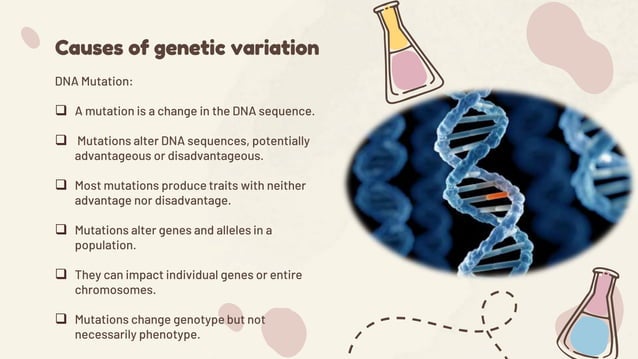 Genetic variation vs environmental variation | PPTX | Genetics | Science