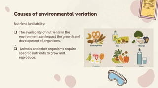 Genetic variation vs environmental variation | PPTX