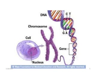 Tingkatan 4 Sains Pertanian Bab Genetik | PPTX