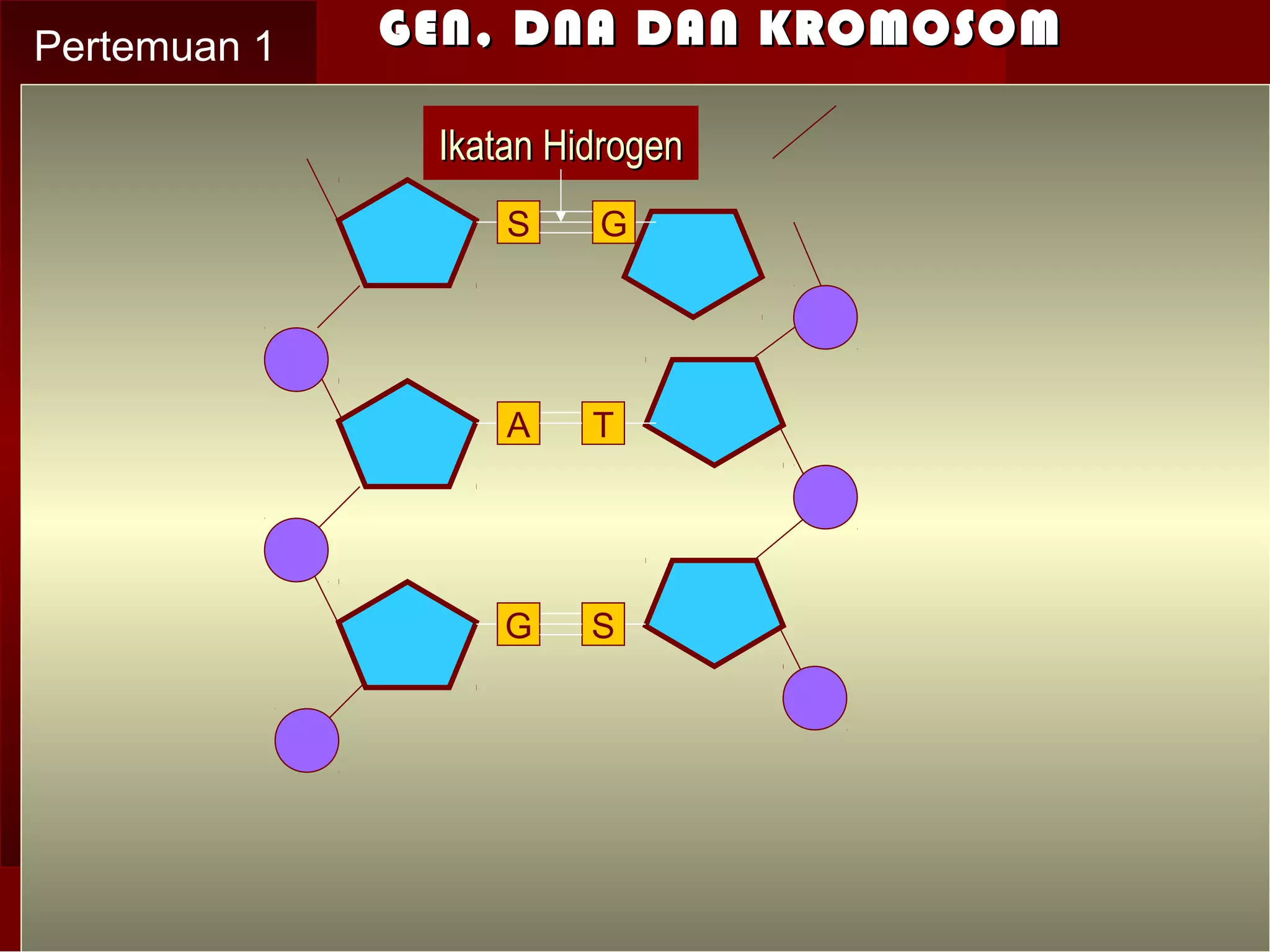 Dasar-dasar Genetika | PPT