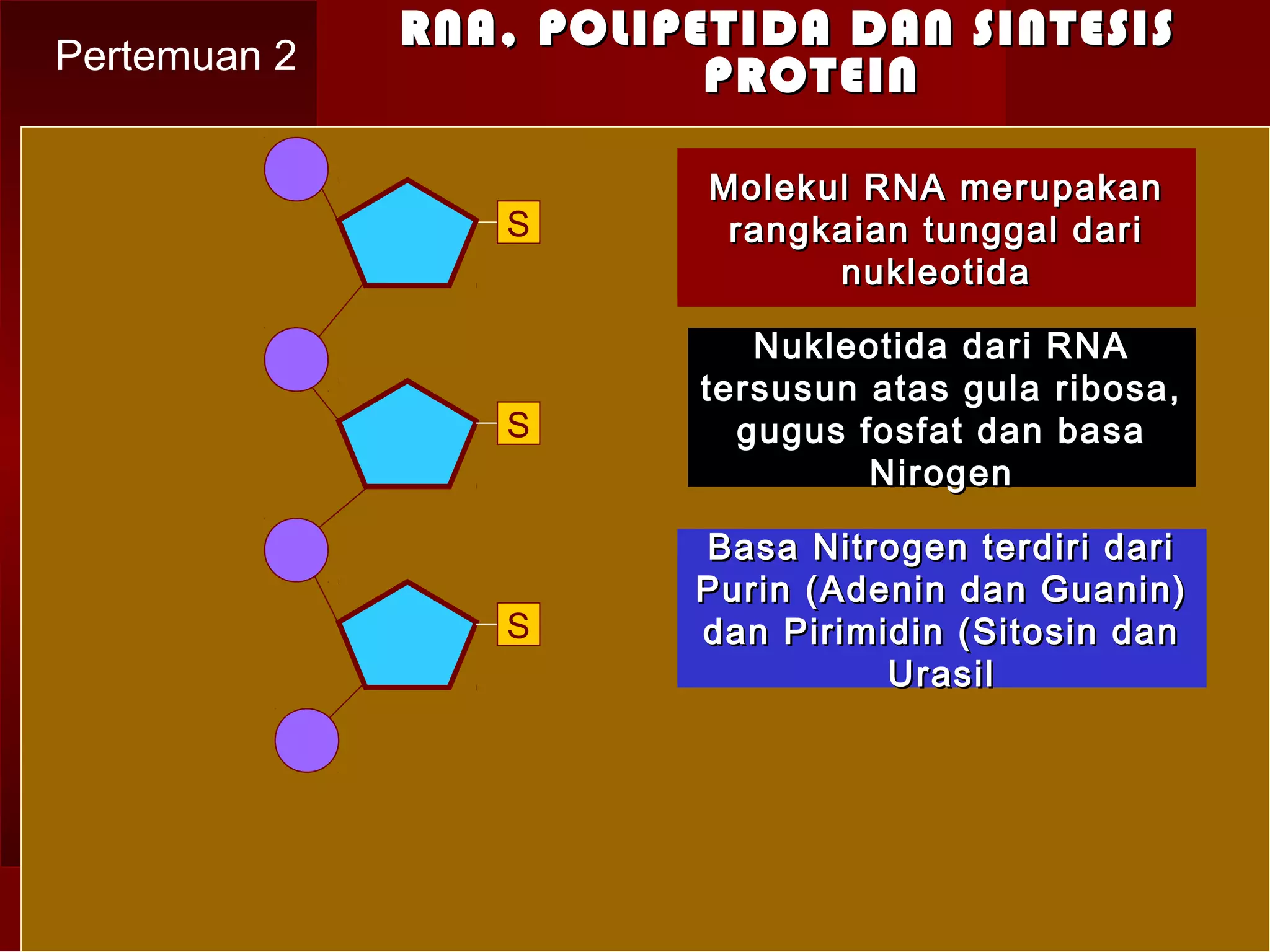 Dasar-dasar Genetika | PPT