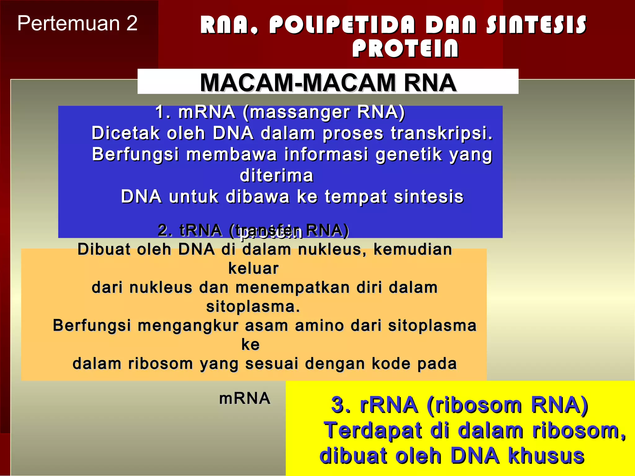 Dasar-dasar Genetika | PPT