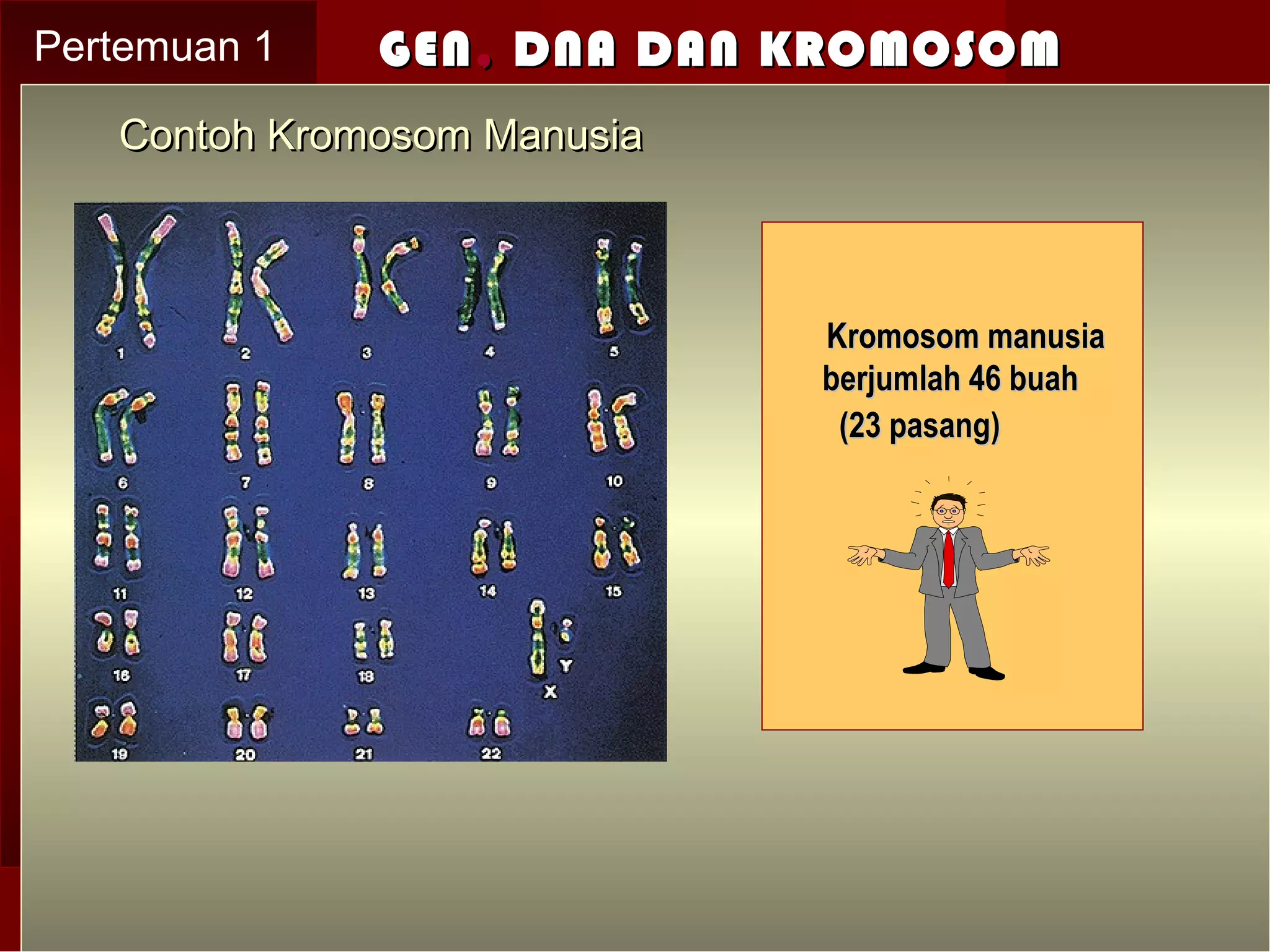 Dasar-dasar Genetika | PPT