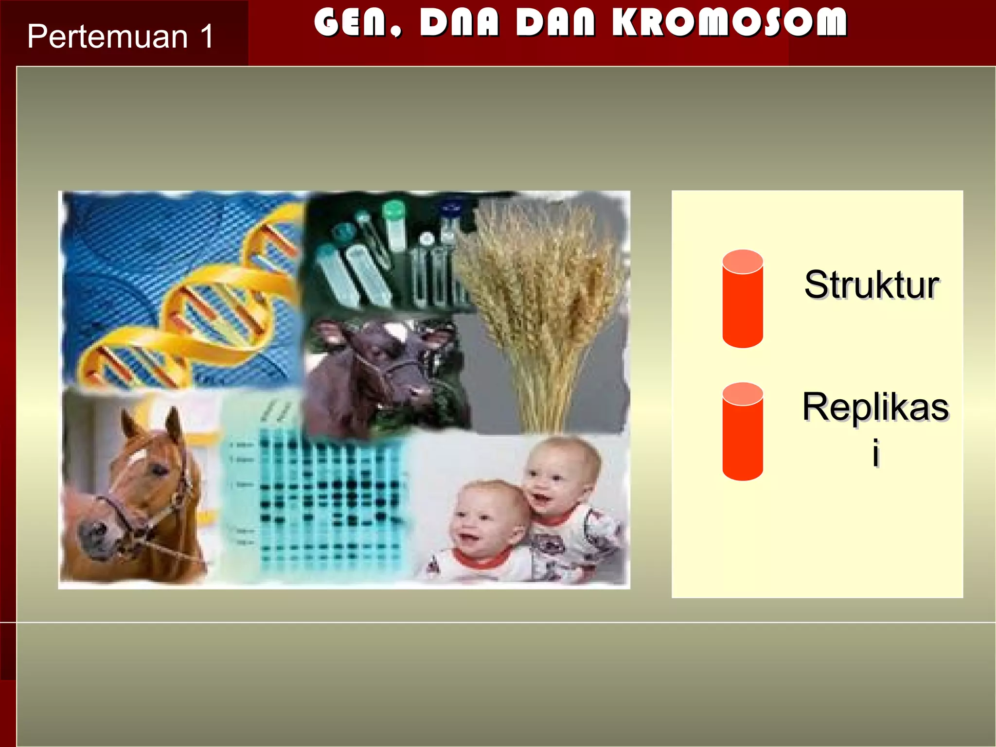 Dasar-dasar Genetika | PPT
