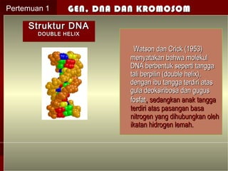 Dasar-dasar Genetika | PPT