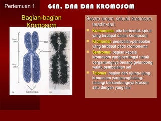 Dasar-dasar Genetika | PPT
