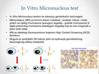 Genetika - Genotoksičnost i mutagenost | PPTX