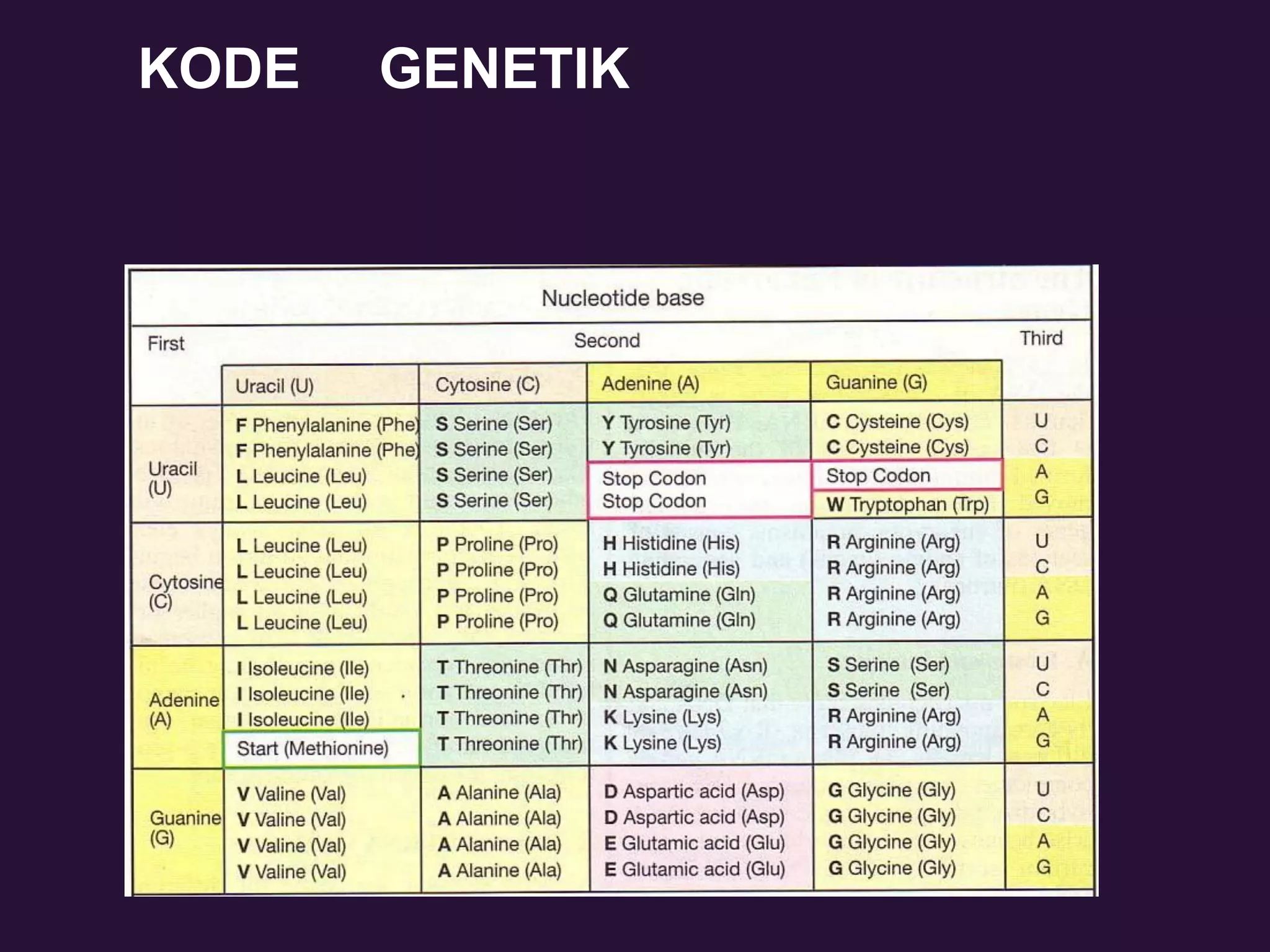 genetika.pdf