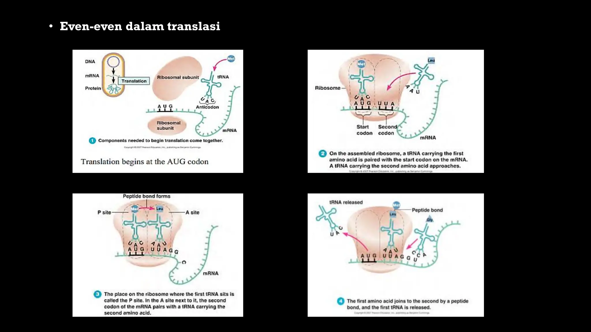 Genetika-mikroorganisme laut format dalam bentuk pdf | PDF