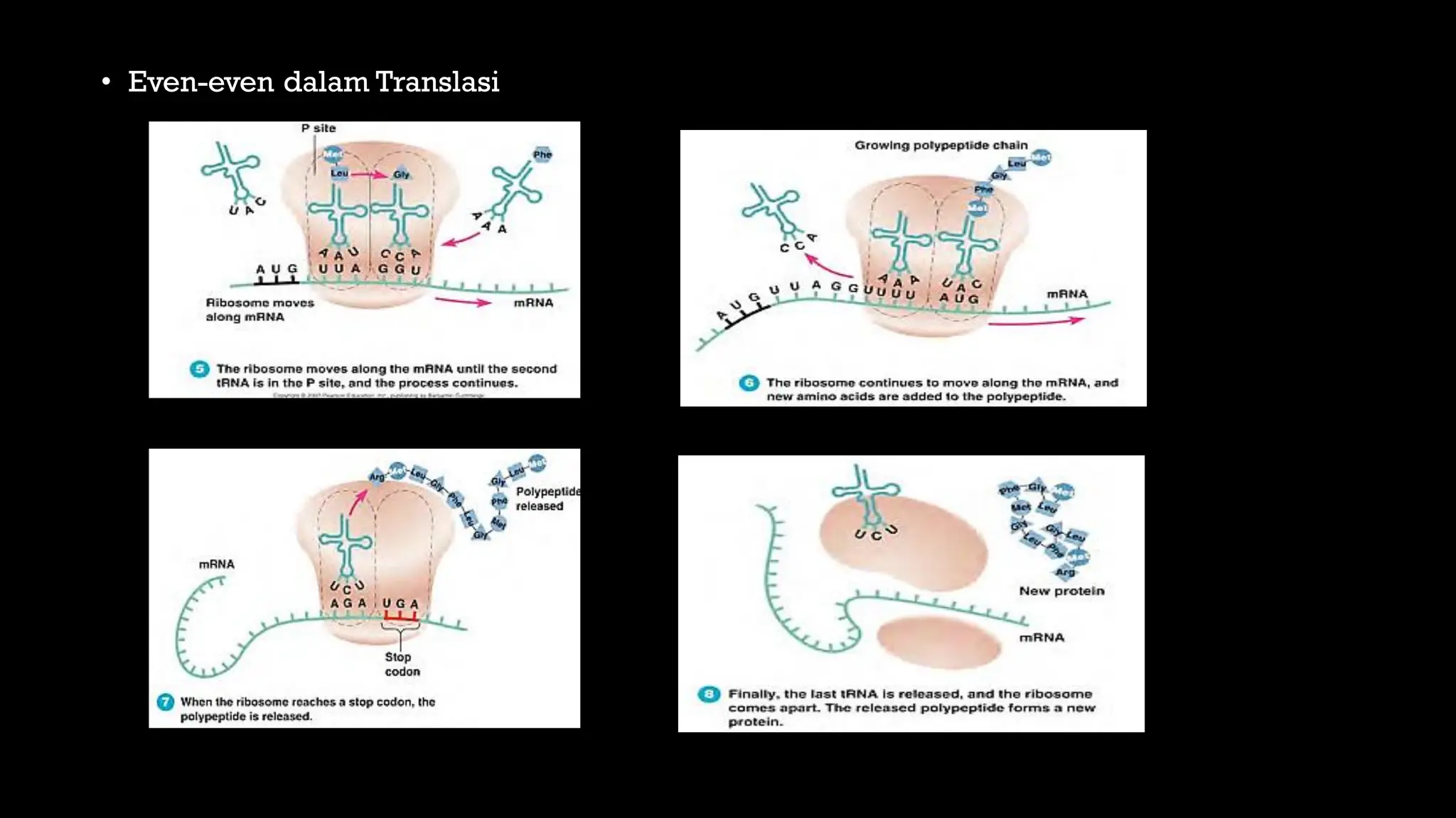 Genetika-mikroorganisme laut format dalam bentuk pdf | PDF