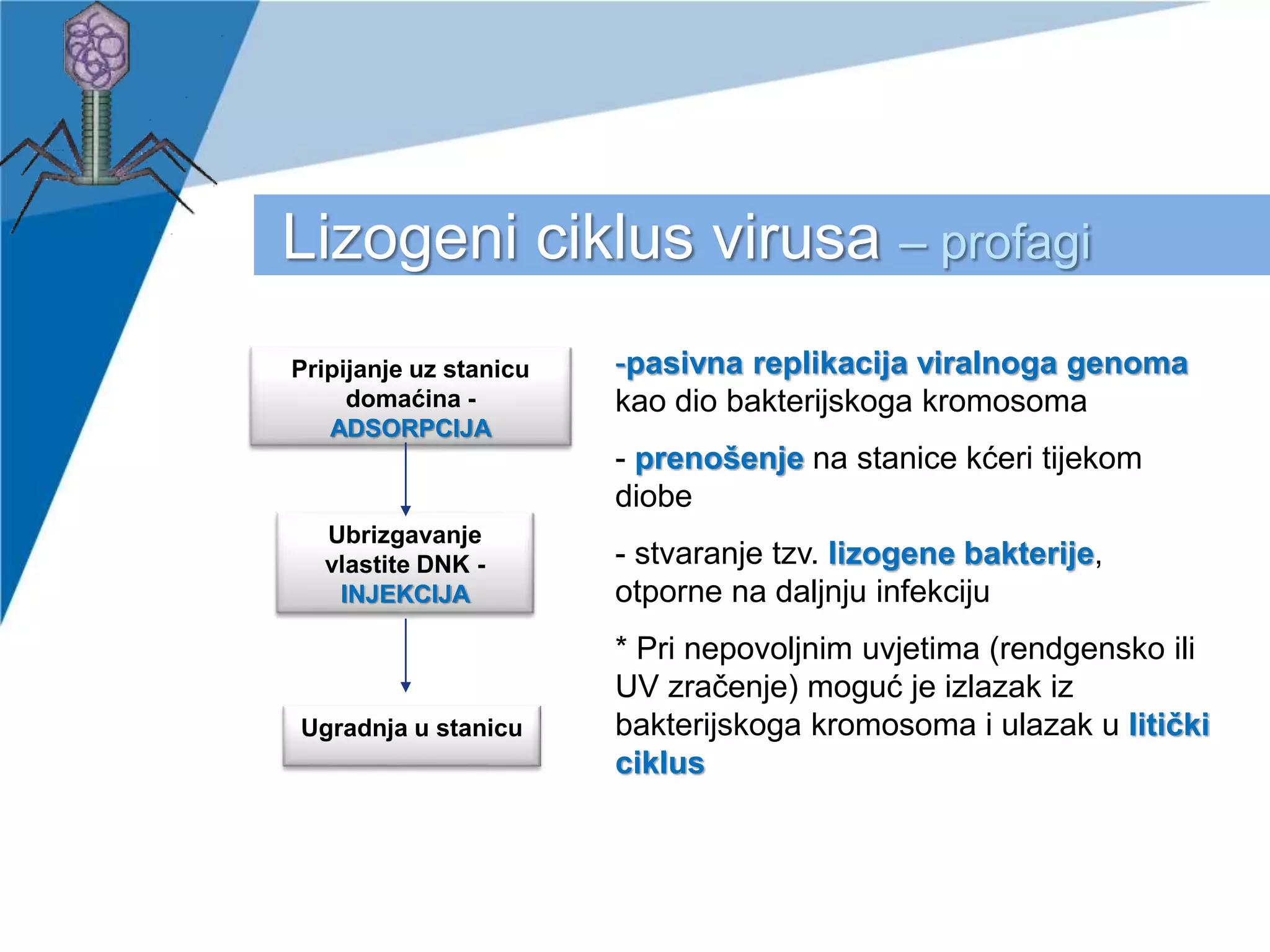Genetika bakterija i virusa - PPT verzija.ppt