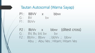 Soal Genetika biologi | PPT