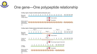 Genetika dan Biologi Molekuler.pptx