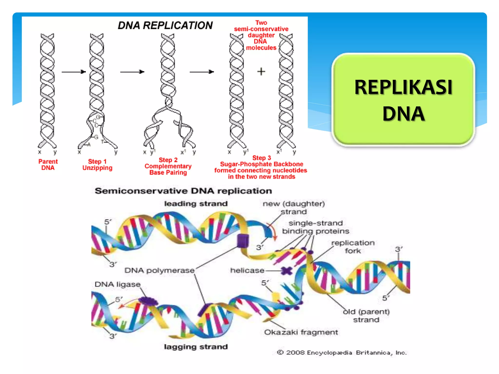 Genetika dan biologi molekuler mikroorganisme | PPTX