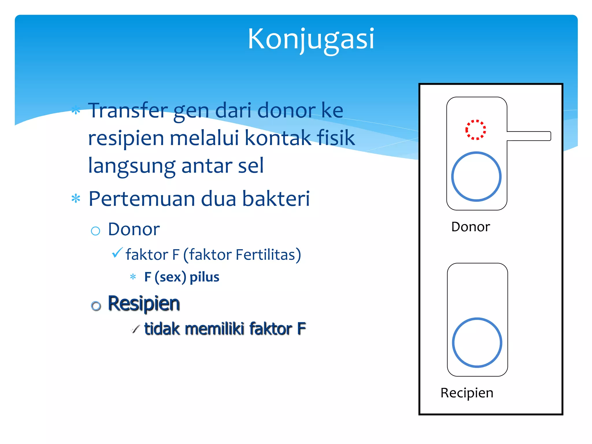 Genetika dan biologi molekuler mikroorganisme | PPTX