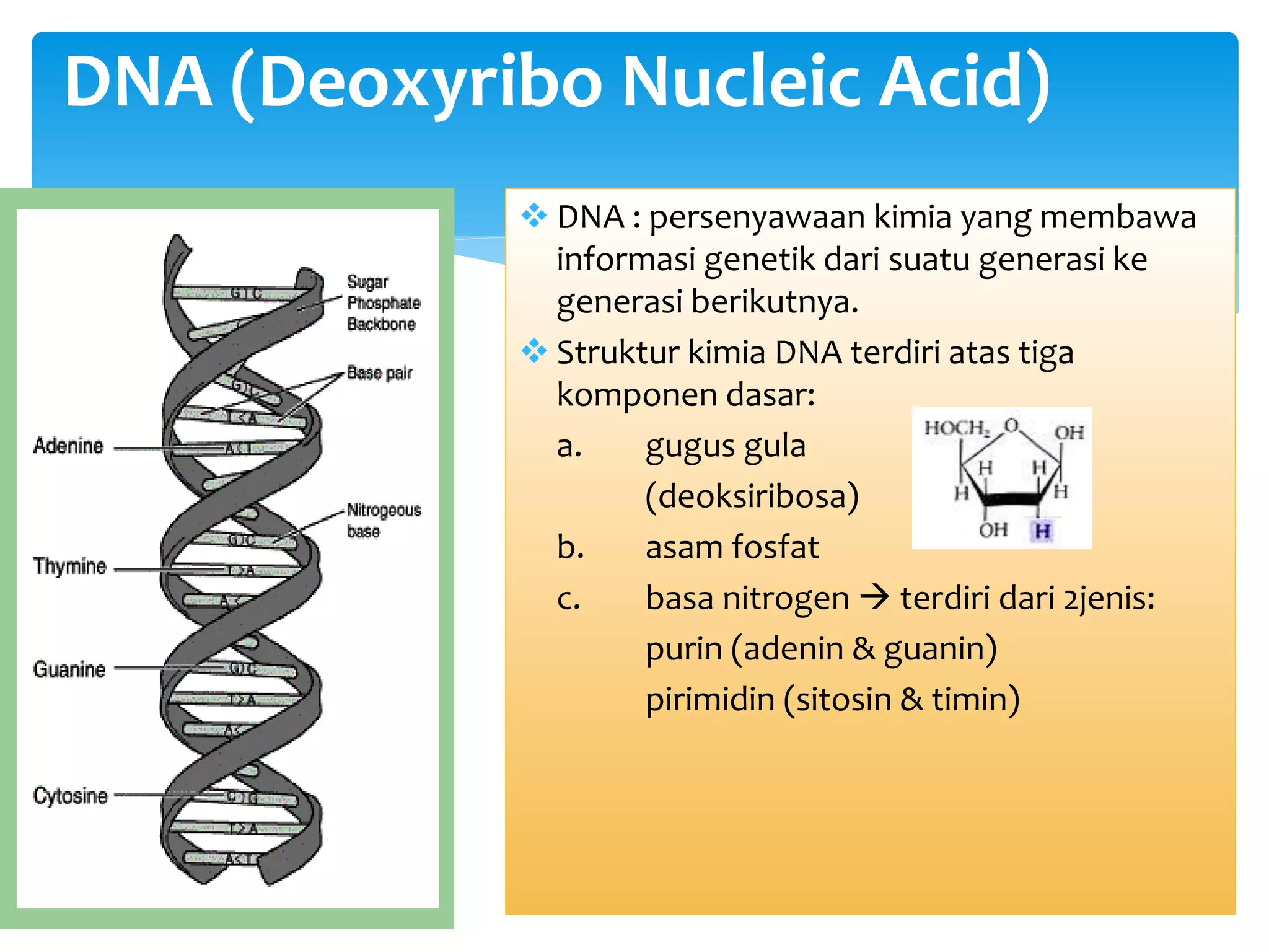Genetika dan biologi molekuler mikroorganisme | PPTX