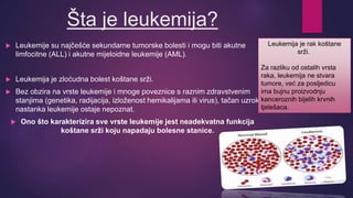 Genetika leukemije | PPTX