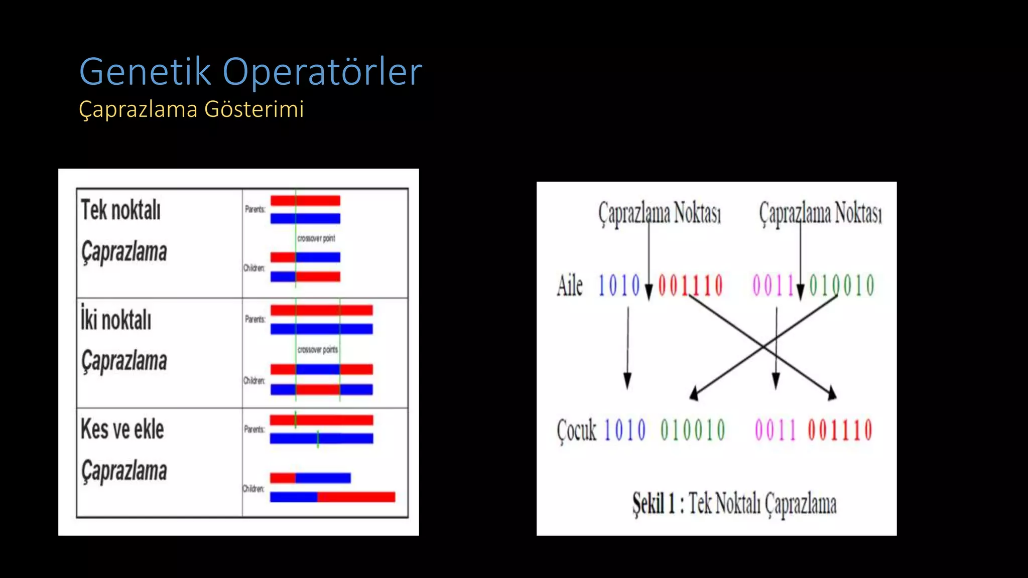 Genetik algoritma | PPTX