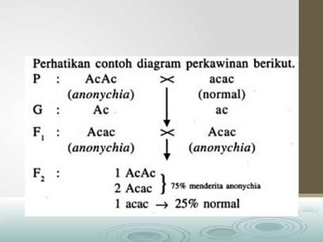 PEWARISAN GENETIKA (HEREDITAS) PADA MANUSIA.pptx