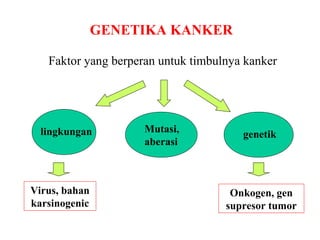 Genetika manusia | PPT