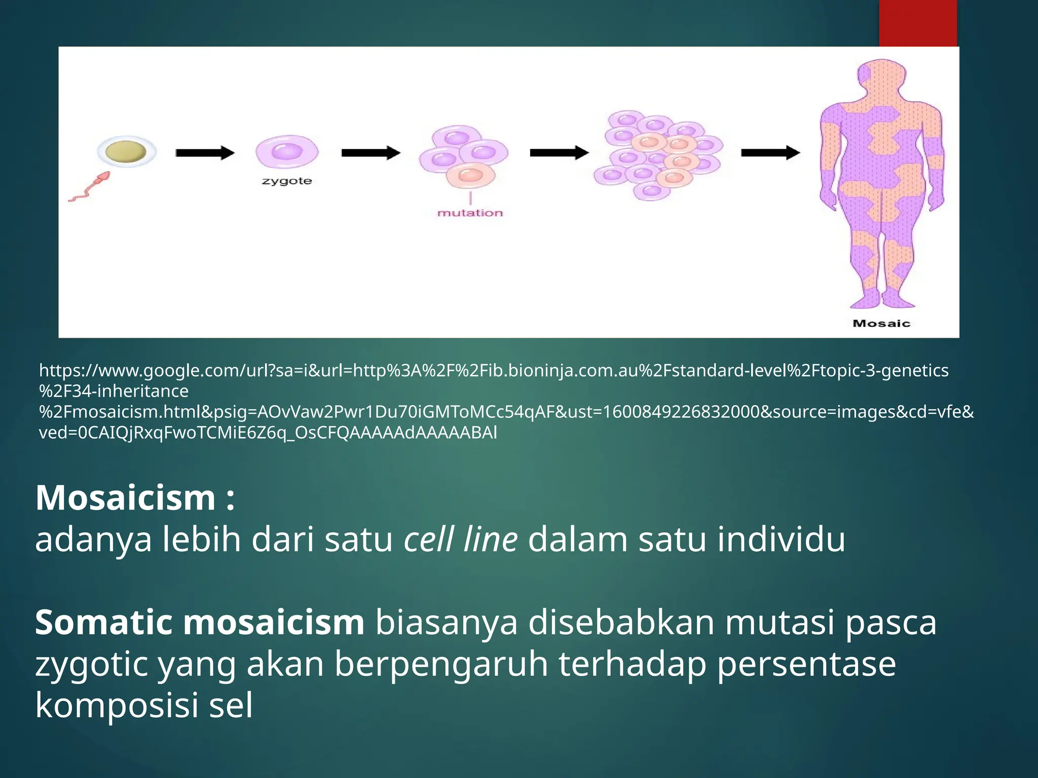 GENETIKA MENDEL DAN NON MENDELLIAN dasar.pptx