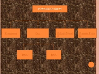 GENETIKA_PEWARISAN_SIFAT Pada manusia .pptx