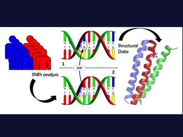 Genes and genomes: why do we look like our parents | PPT
