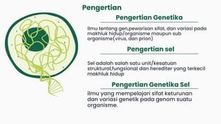 GENETIKA SEL | 1I | Dosen: Yayuk Putri Rahayu, S.Si, M.Si | Farmasi ...