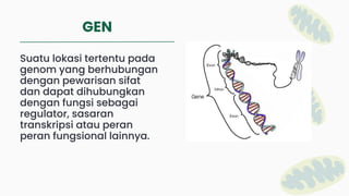 GENETIKA SEL | 1I | Dosen: Yayuk Putri Rahayu, S.Si, M.Si | Farmasi ...