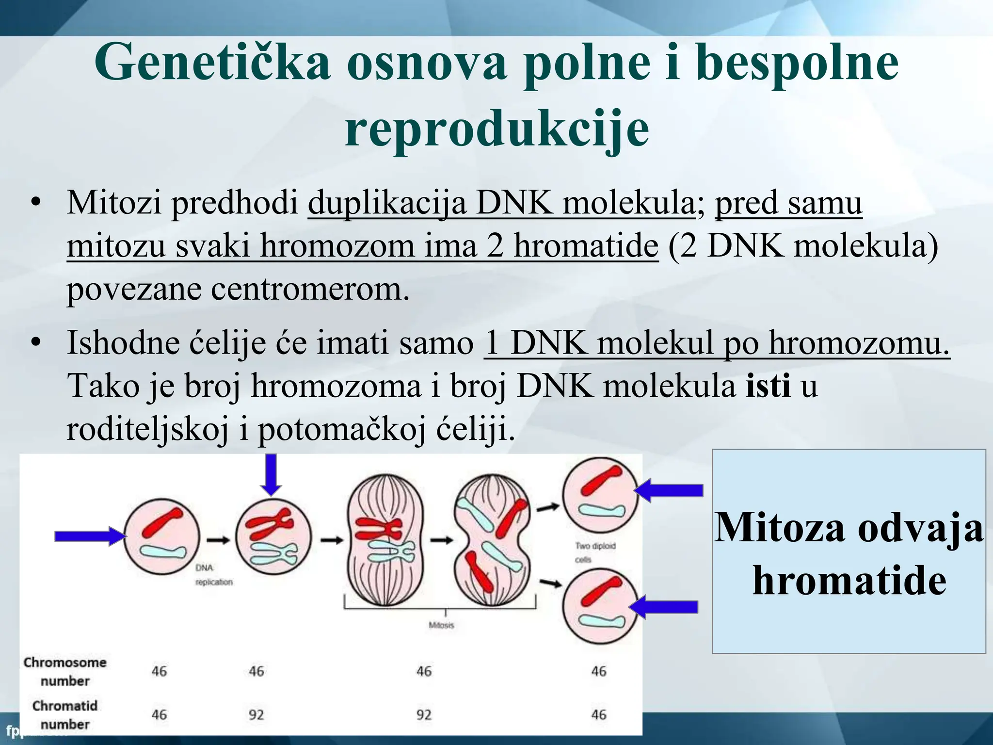 genetika sta je.Mendelova genetika pptx.ppt