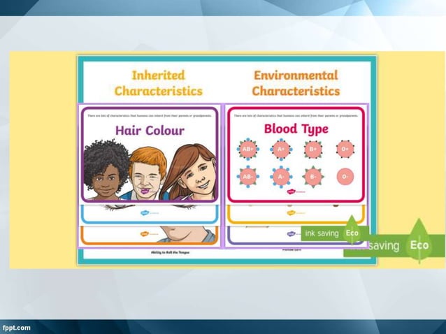 genetika sta je.Mendelova genetika pptx.ppt