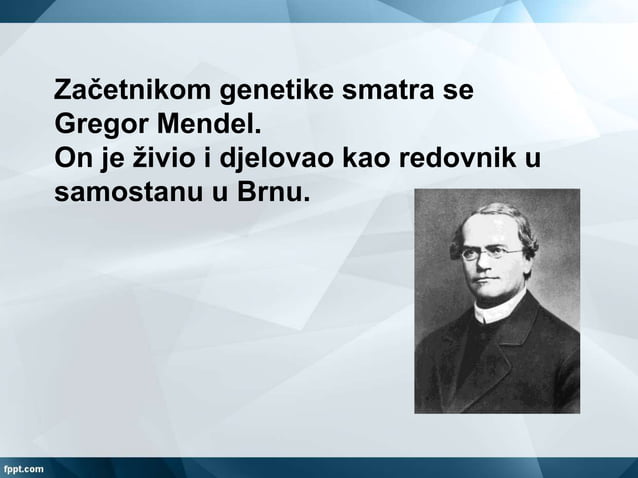 genetika sta je.Mendelova genetika pptx.ppt