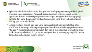 PPT GENETIKA TERNAK EPISTASIS KELOMPOK.6.pptx