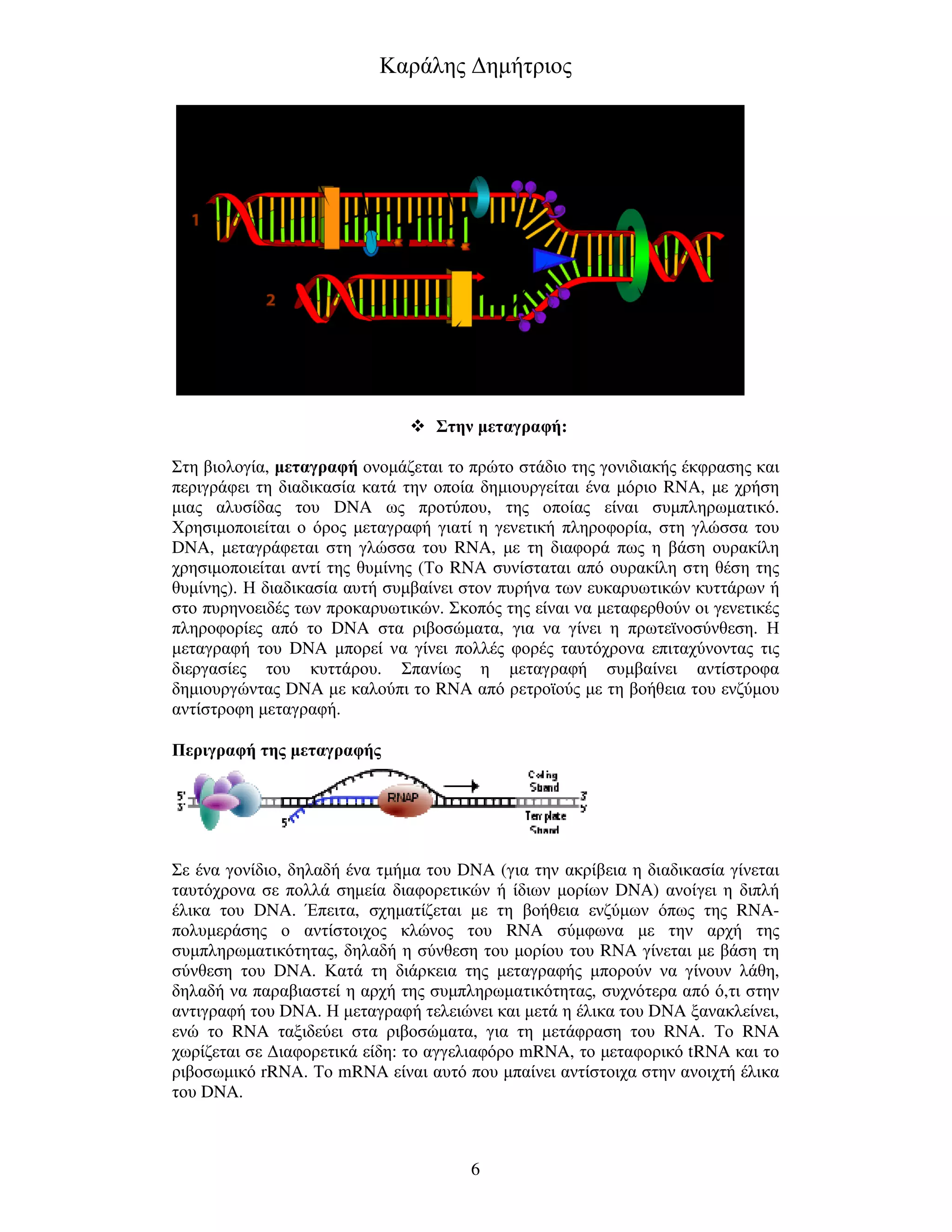Genetiko yliko 10-11 | PDF