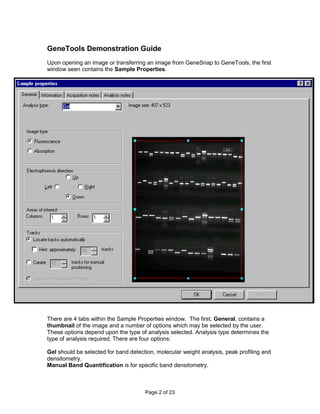 GeneTools Analyseprogramm | PDF