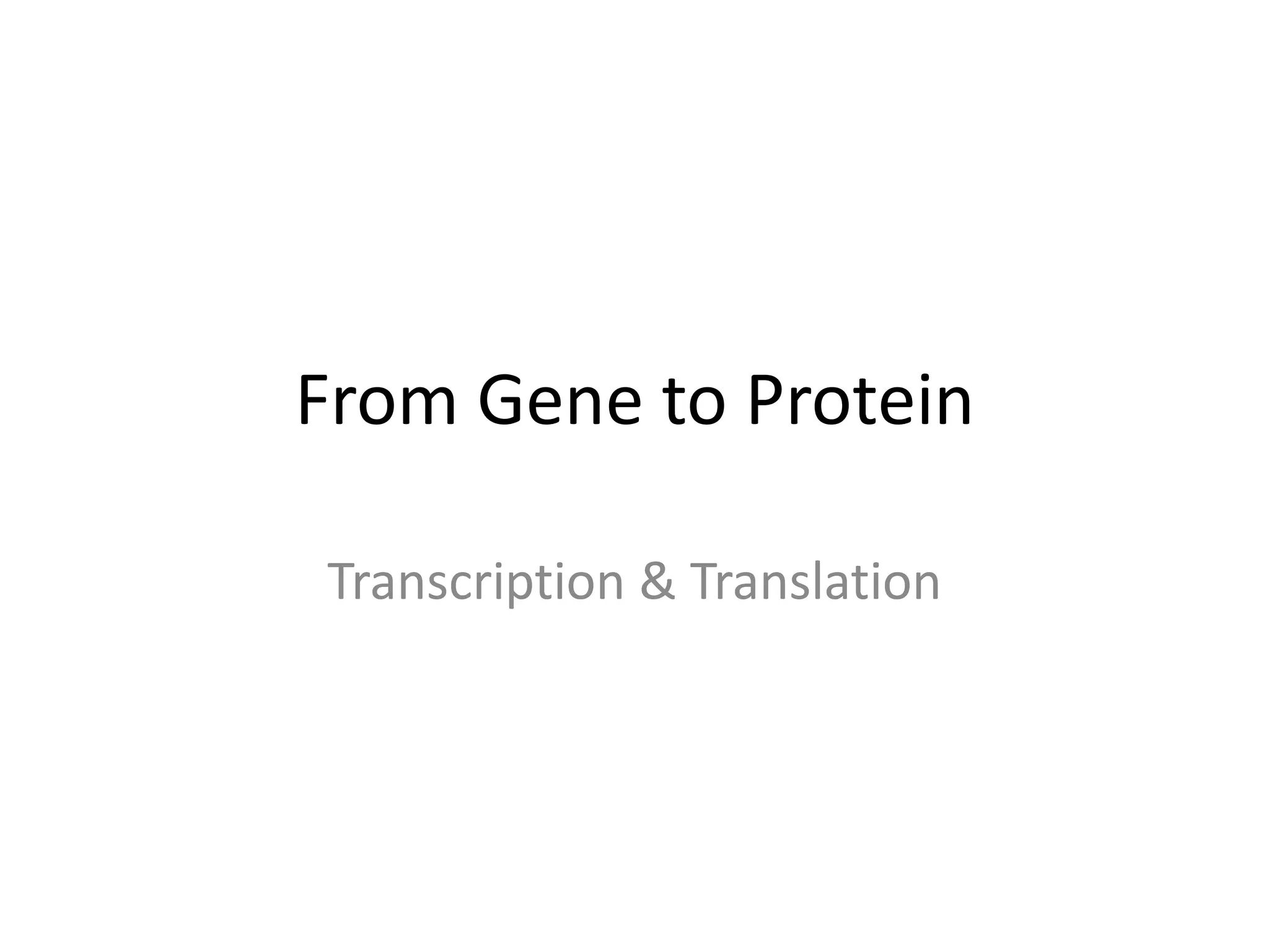 Gene to protein ss | PPTX