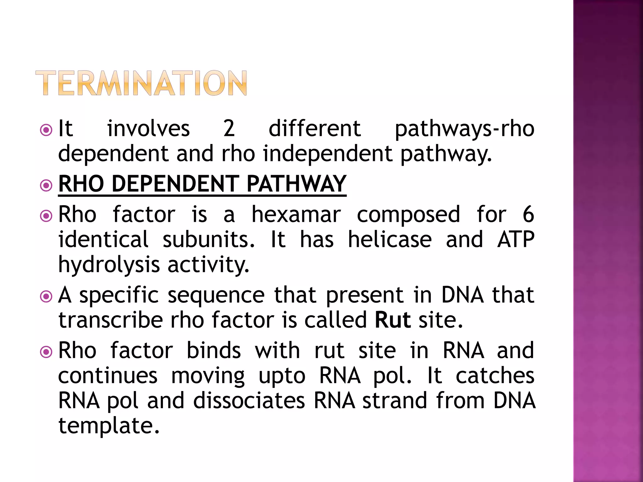 Gene transcription and co transcriptional modification | PPTX