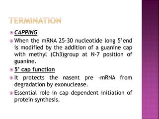Gene transcription and co transcriptional modification | PPTX