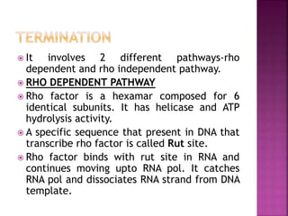 Gene transcription and co transcriptional modification | PPTX