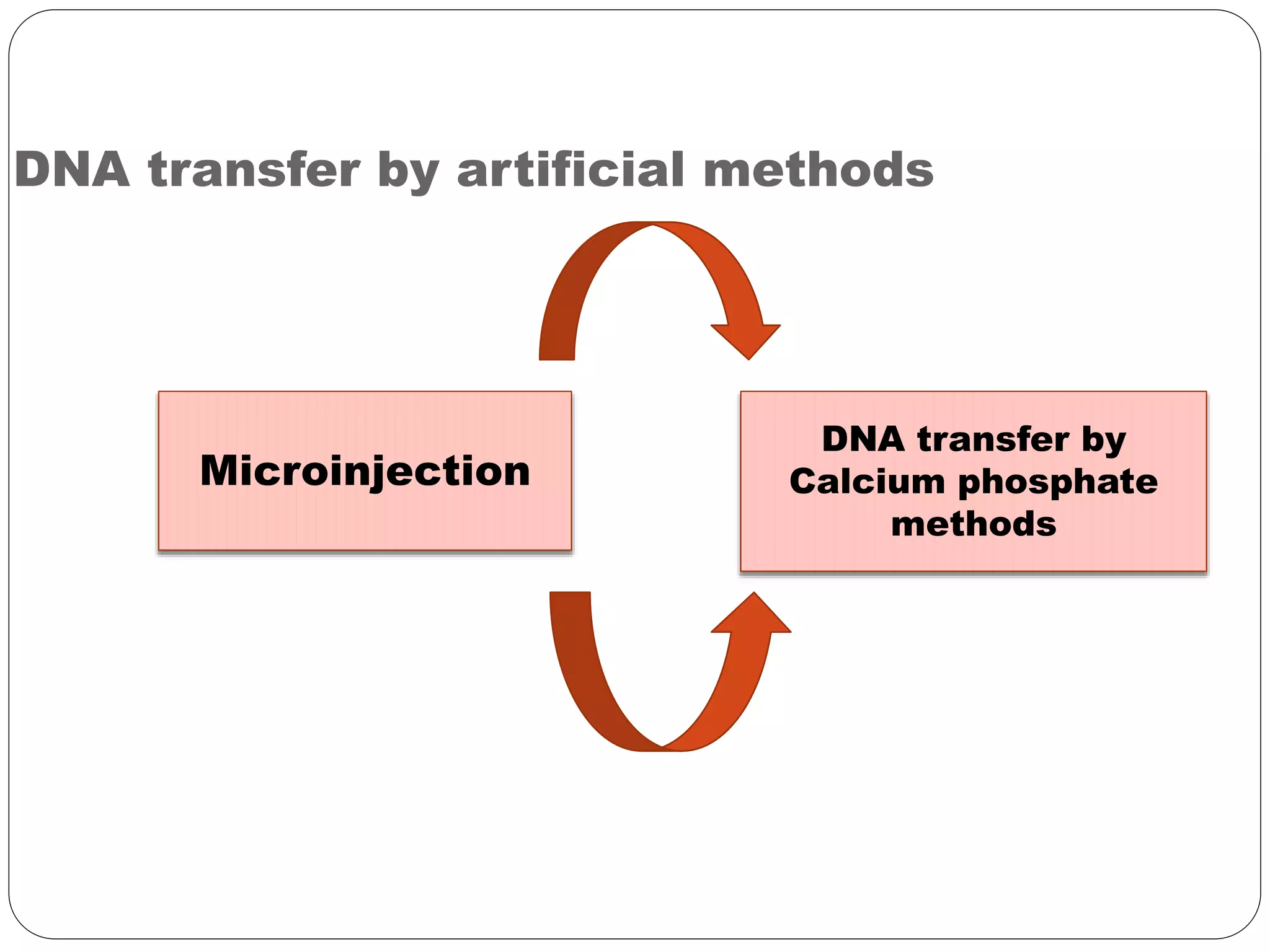 Gene transfection or Method of gene transfer | PPTX