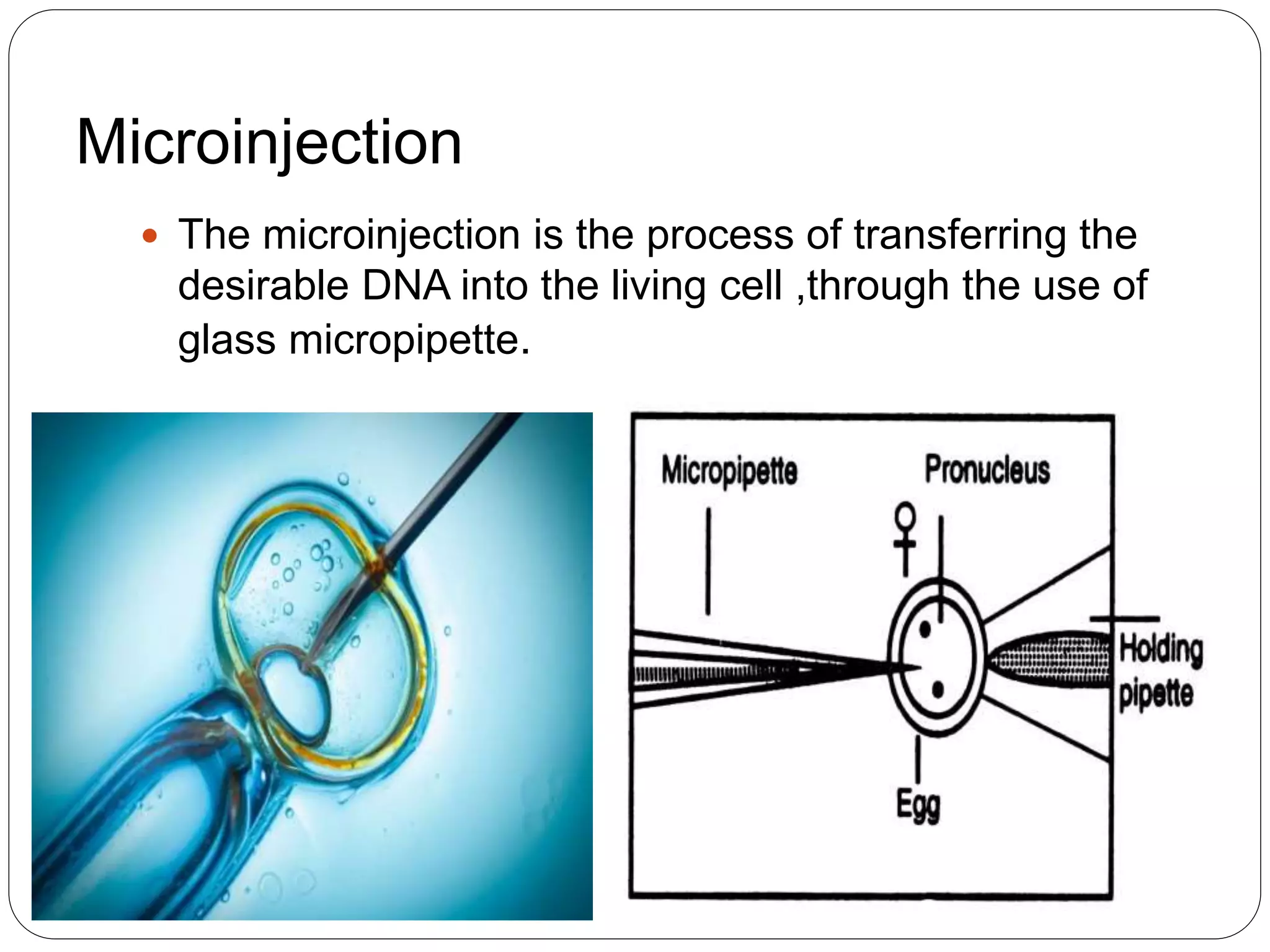 Gene transfection or Method of gene transfer | PPTX