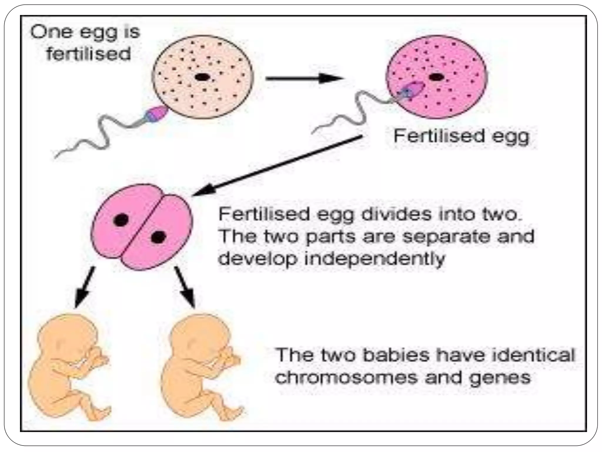 Gene transfection or Method of gene transfer | PPTX