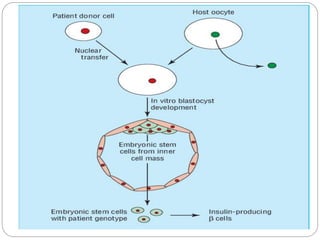 Gene transfection or Method of gene transfer | PPTX