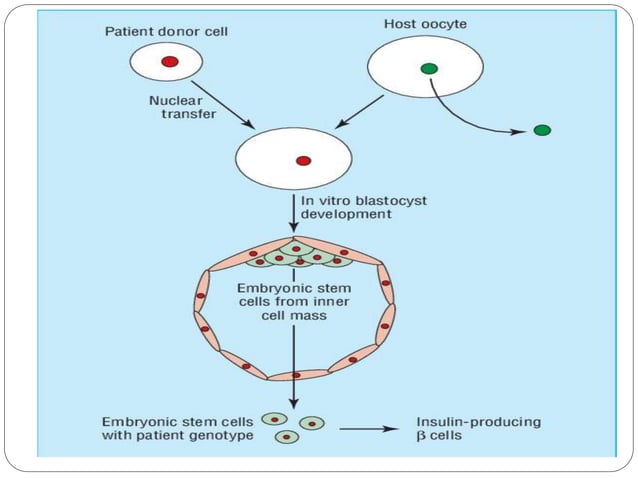 Gene transfection or Method of gene transfer | PPT