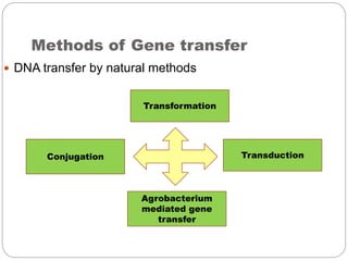 Gene transfection or Method of gene transfer | PPTX