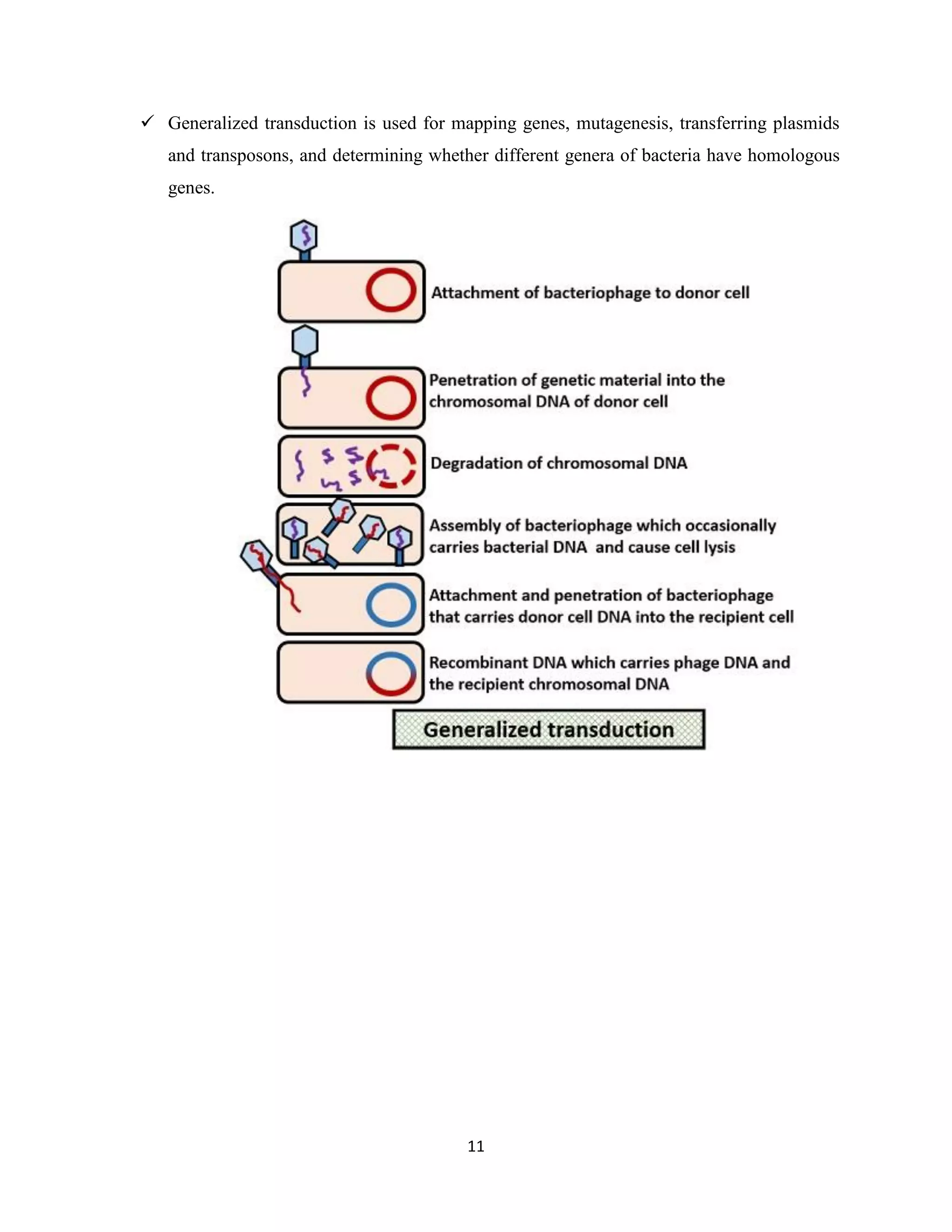 Gene transfer | PDF