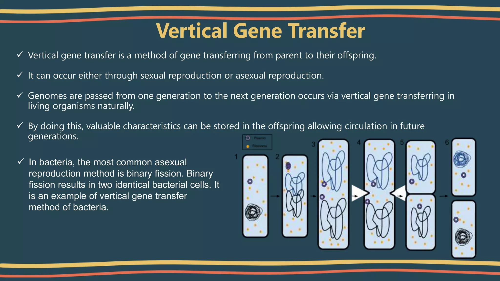 Gene Transfer.pptx