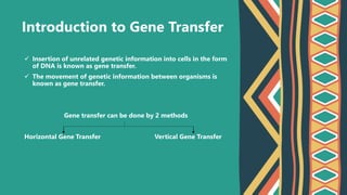 Gene Transfer.pptx